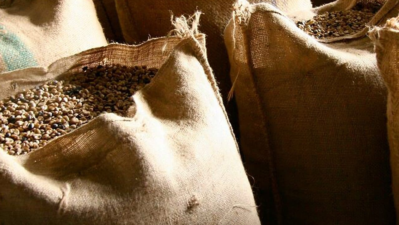 Nuestra historia Shell Café | Shell El Salvador